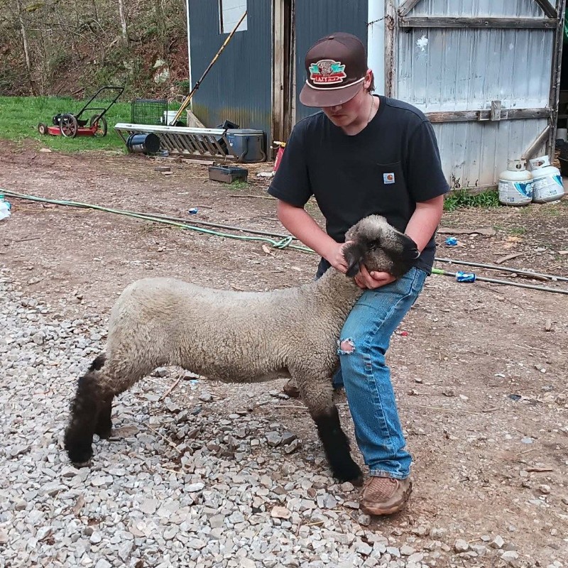 ️Noah ️🐖🐑 (@noah_kay25) | Snapchat Stories, Spotlight & Lenses