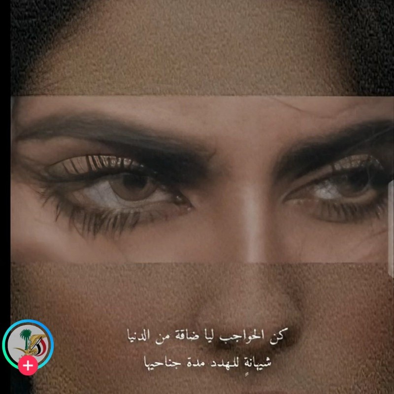 نوفي 🤍 (@nofe-5) | Snapchat Stories, Spotlight & Lenses