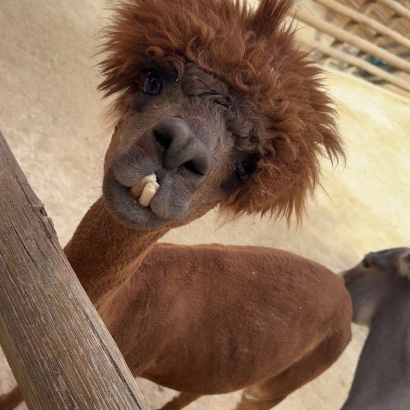 Nour (@nono-zianii) | Snapchat Stories, Spotlight & Lenses