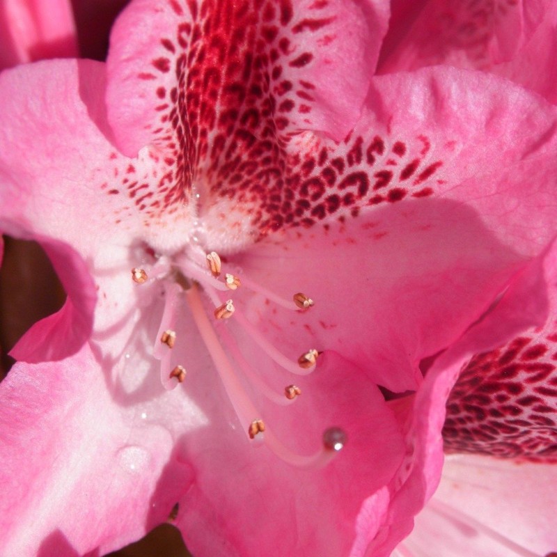 Hae Lí (@nostalgianailz) | Snapchat Stories, Spotlight & Lenses