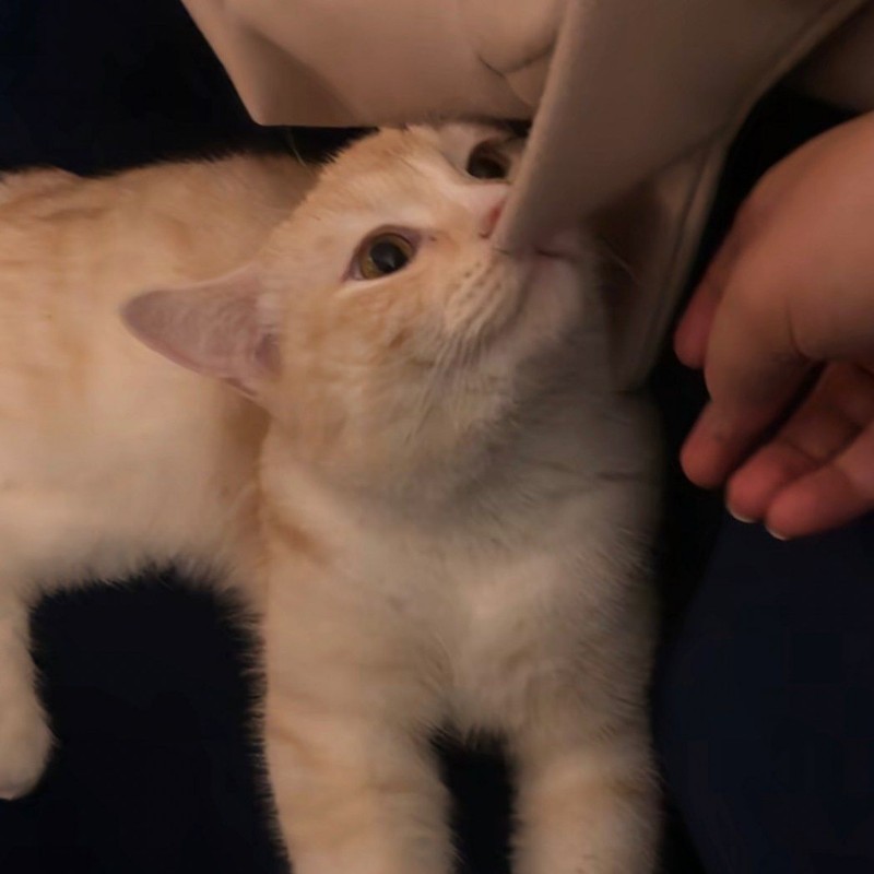 نــوࢪ (@nour_cx) | Snapchat Stories, Spotlight & Lenses