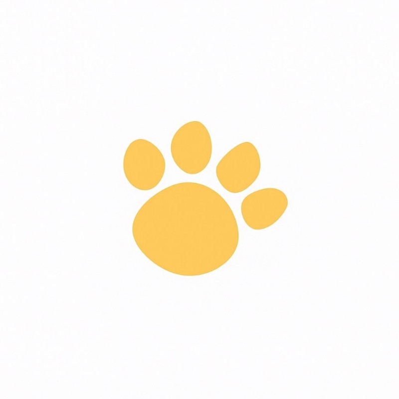 Nova Pets Store (@novapetsstore) | Snapchat Stories, Spotlight & Lenses