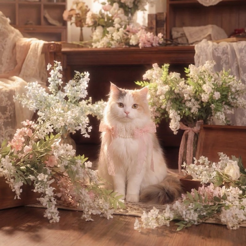 Noyon Sikder (@noyon_199) | Snapchat Stories, Spotlight & Lenses