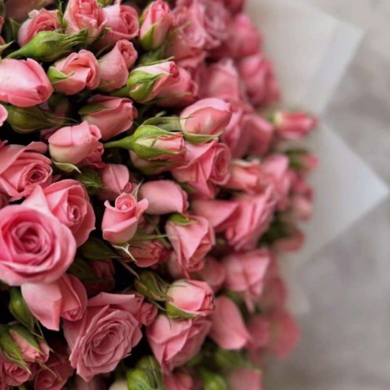 Nurse⭐️ (@nurse.5y) | Snapchat Stories, Spotlight & Lenses