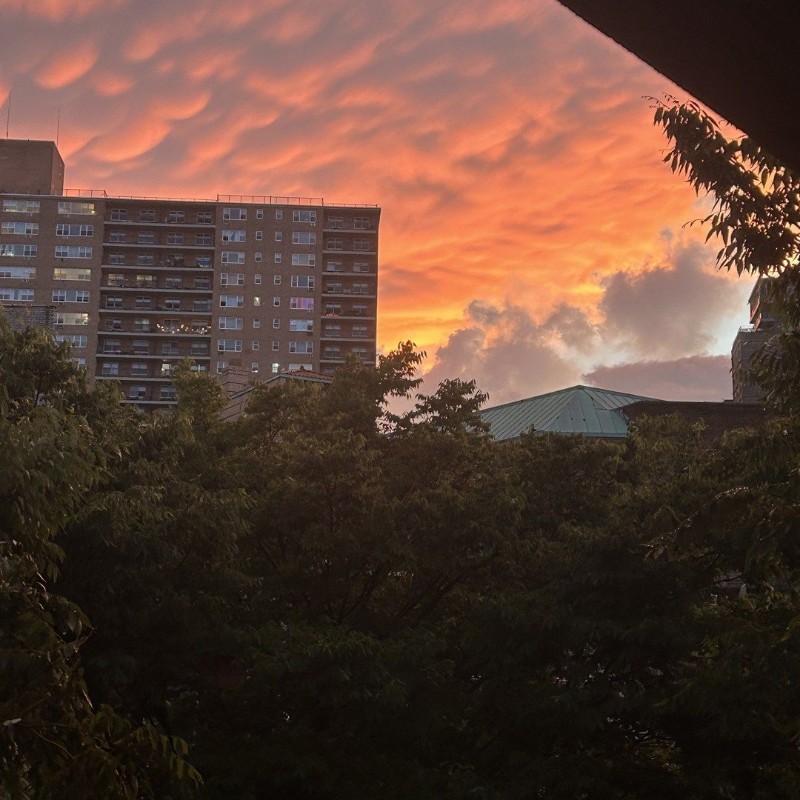 madi 🤍. (@nyyc.madi) | Snapchat Stories, Spotlight & Lenses