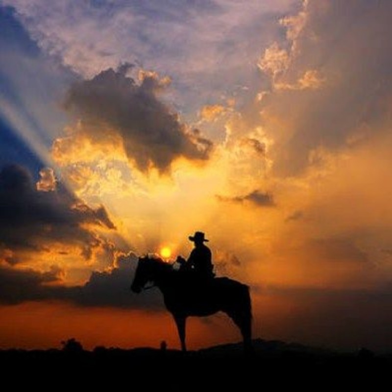 Country Cowboy (@officialcwgames) | Snapchat Stories, Spotlight & Lenses