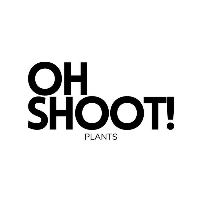 Oh Shoot! Plants (@ohshootplants) | Snapchat Stories, Spotlight & Lenses