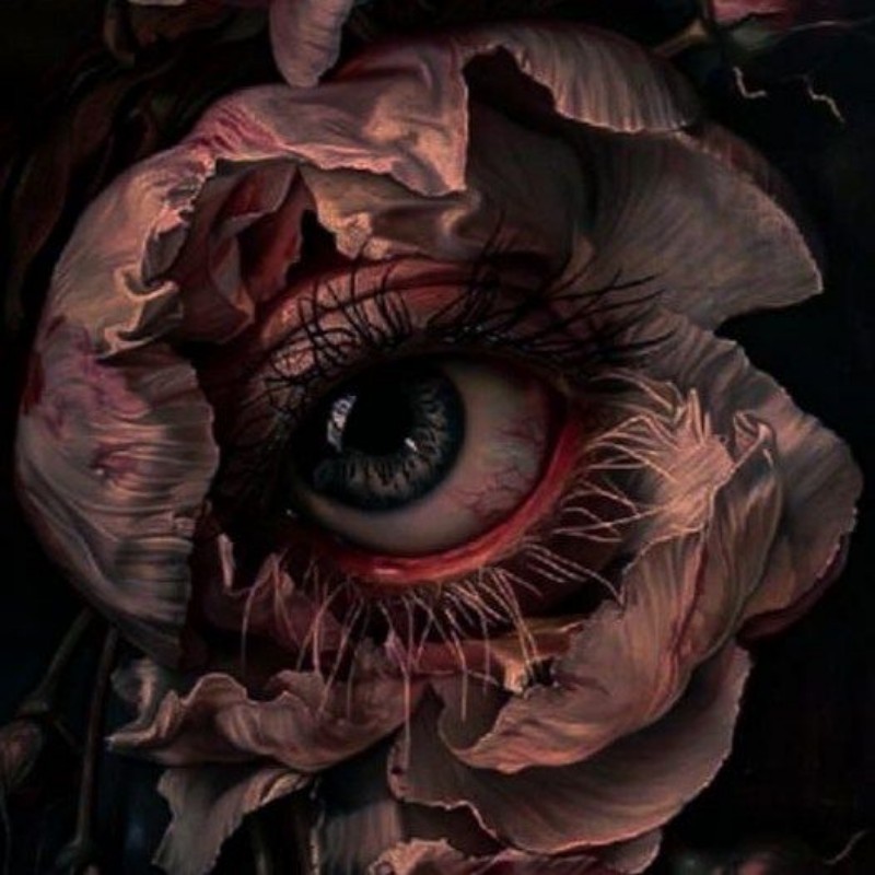 🔅~𝓞𝓴𝓮𝓳𝓴𝓪 🌀˚ ꧂ (@ok_dragonzz) | Snapchat Stories, Spotlight & Lenses