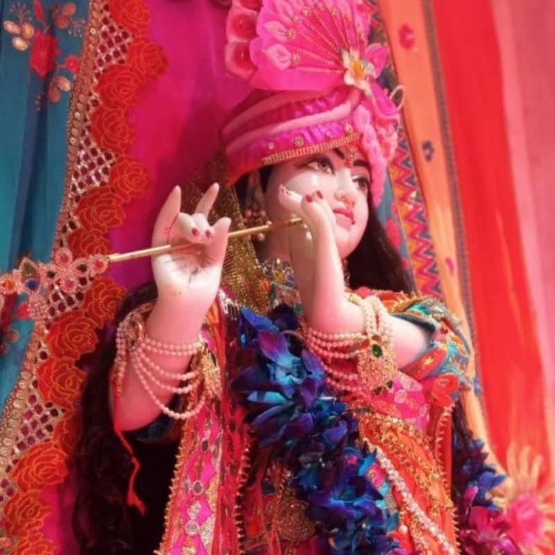 OMG Girl (@omg_girl002) | Historias, Spotlight y Lentes de Snapchat