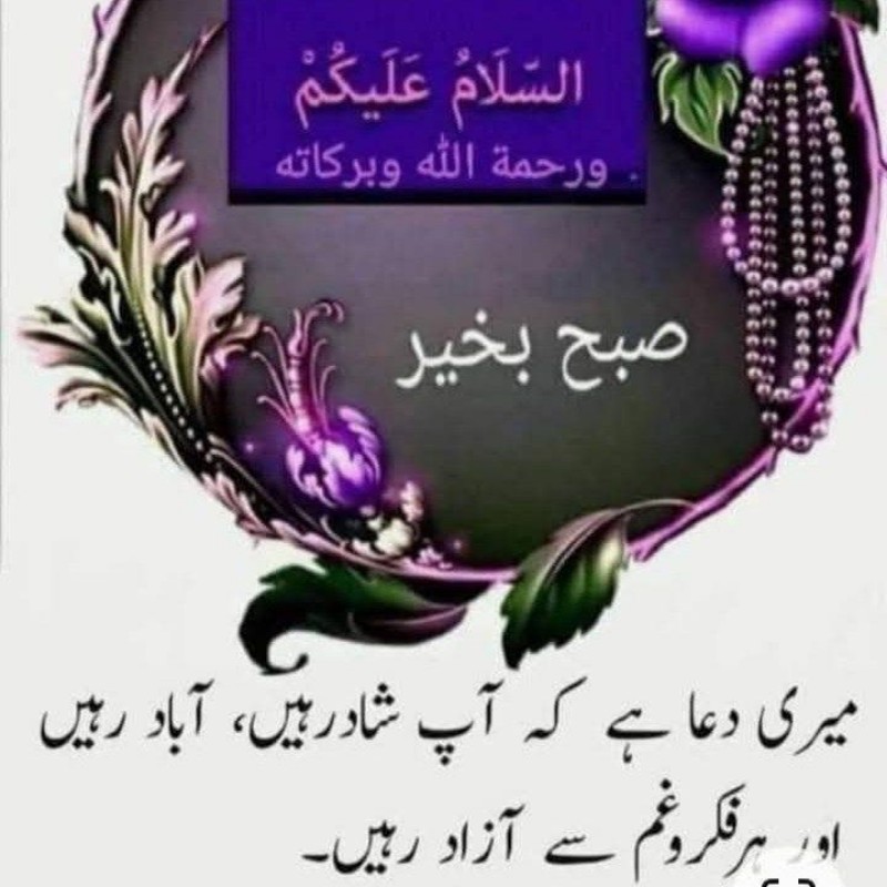 Haseeb Hashmi (@onlinebussinise) | Snapchat Stories, Spotlight & Lenses