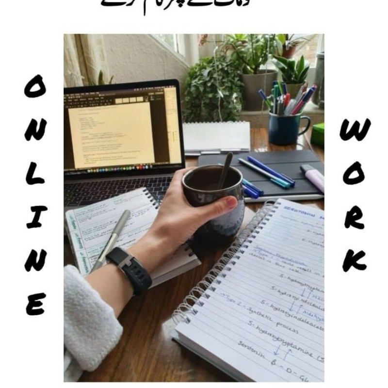 Online Work (@onlinework28984) | Snapchat Stories, Spotlight & Lenses