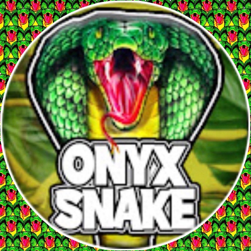 ONYX Snake (@onyxsnake1) | Snapchat Stories, Spotlight & Lenses