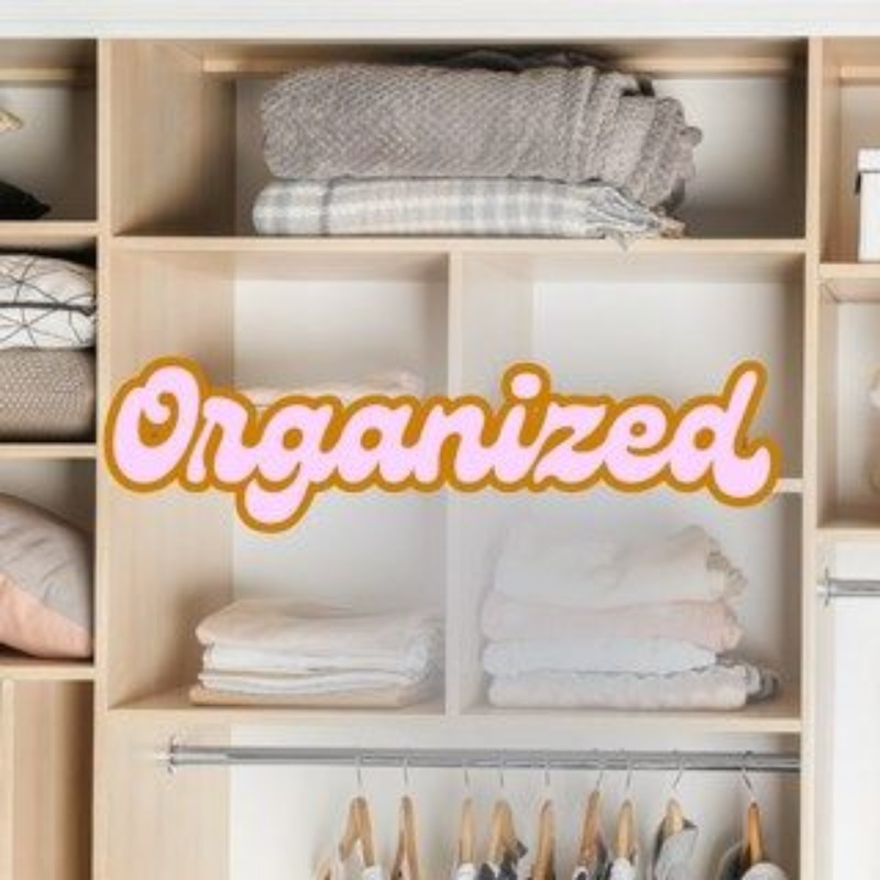 Organized (@organizedshow) | Snapchat Stories, Spotlight & Lenses