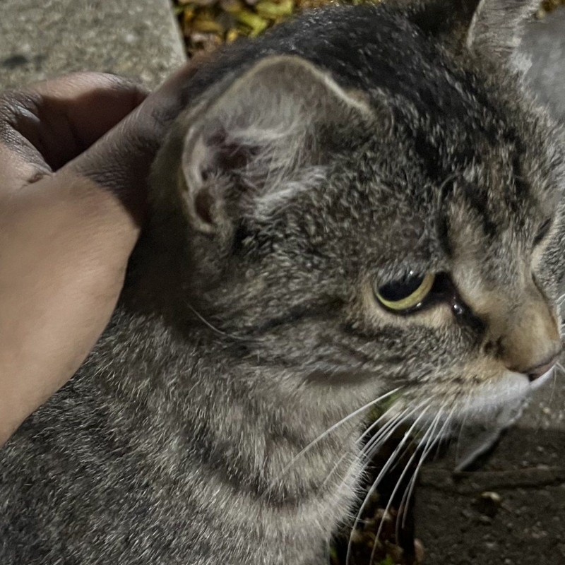 𝐌𝐫𝐬 𝐂𝐚𝐩𝐚𝐥𝐨𝐭🐐 (@ovrrlaan) | Snapchat Stories, Spotlight & Lenses