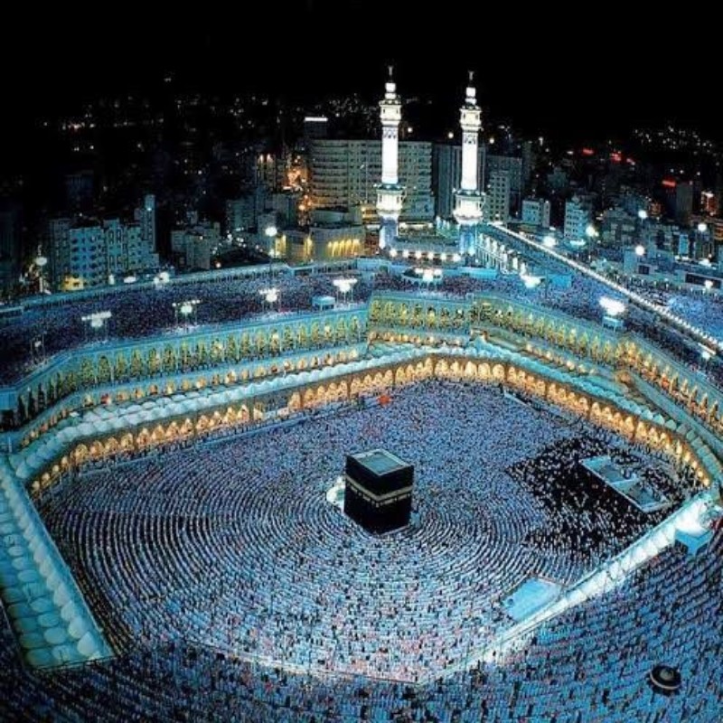 Pal lab (@pal.lab) | Snapchat Stories, Spotlight & Lenses