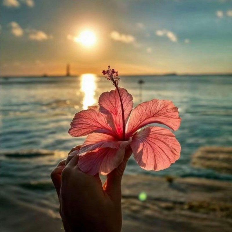 Palomi (@palomi8) | Snapchat Stories, Spotlight & Lenses