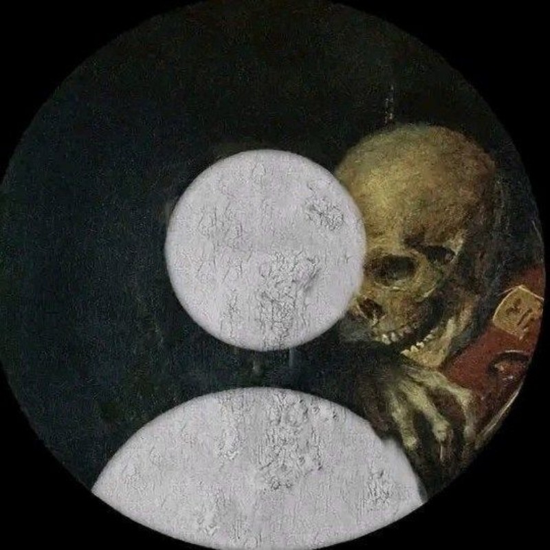 Pitty \\ Revelation Arc (@papivoya) | Snapchat Stories, Spotlight & Lenses