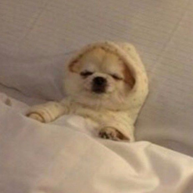 PARTY FAVOR (@partyfavormusic) | Snapchat Stories, Spotlight & Lenses