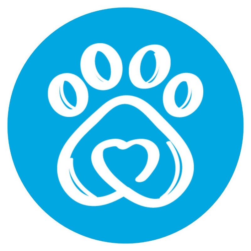 Pawrade Puppies (@pawrade) | Snapchat Stories, Spotlight & Lenses