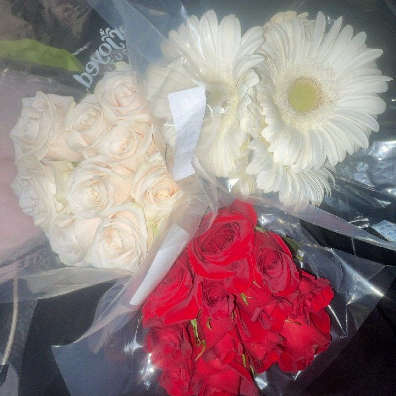 𝓟𝓪𝔂𝓽𝓮𝓷𝓷💤 (@pay.tenn) | Snapchat Stories, Spotlight & Lenses