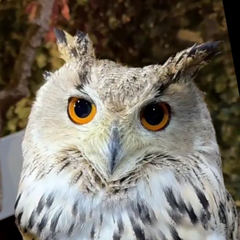 Jake (@pepsibottle69) | Snapchat Stories, Spotlight & Lenses