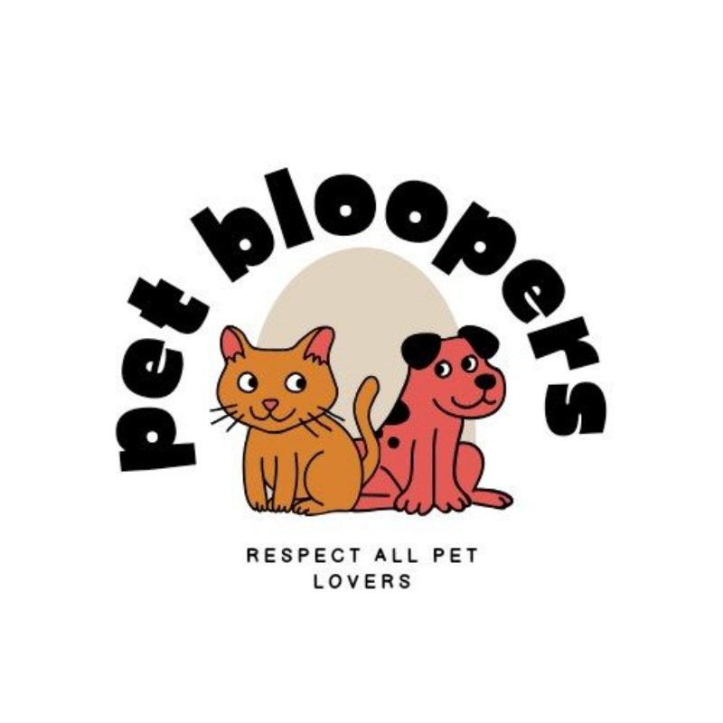 Pet Blooper (@petblooper) | Snapchat Stories, Spotlight & Lenses