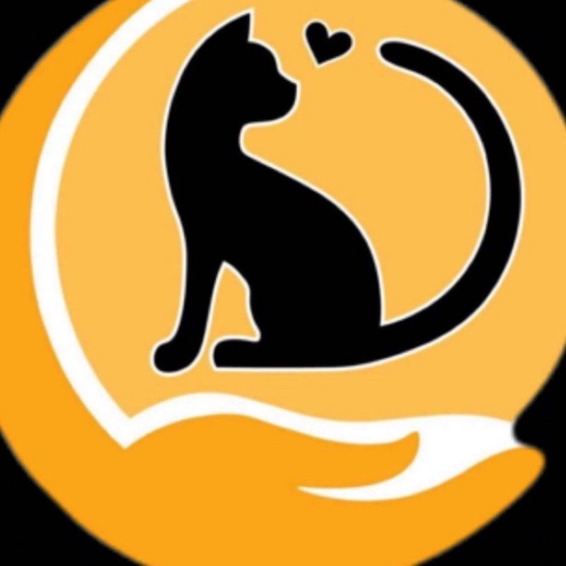 Pet Care 🐱 (@petcare.jed) | Snapchat Stories, Spotlight & Lenses