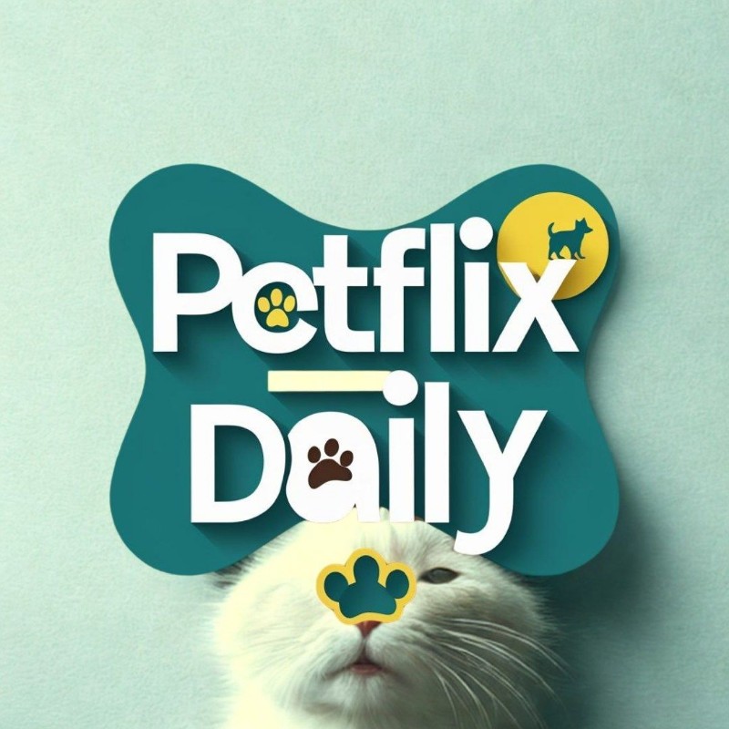 Petflix Daily (@petflix_p5k) | Snapchat Stories, Spotlight & Lenses