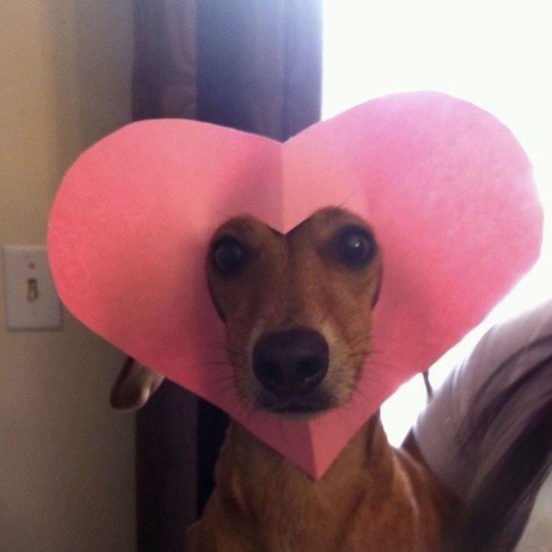 Philipp (@philipp_bahamas) | Snapchat Stories, Spotlight & Lenses