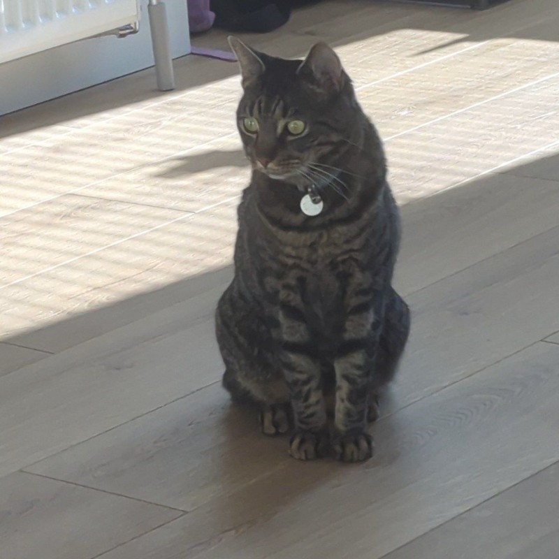 phoebedoneghan4 (@phoebedoneghan4) | Snapchat Stories, Spotlight & Lenses