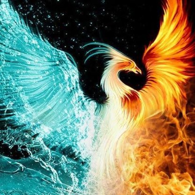 The Rising Phoenix Tarot (@phoenix.tarot) | Snapchat Stories, Spotlight ...