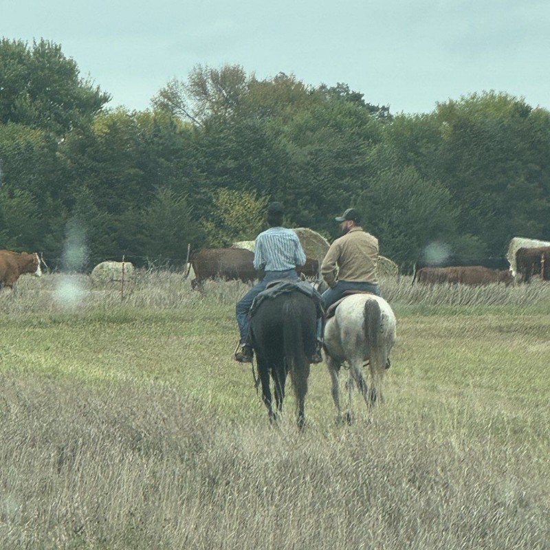 Pierson Rohde (@piersonrohde) | Snapchat Stories, Spotlight & Lenses