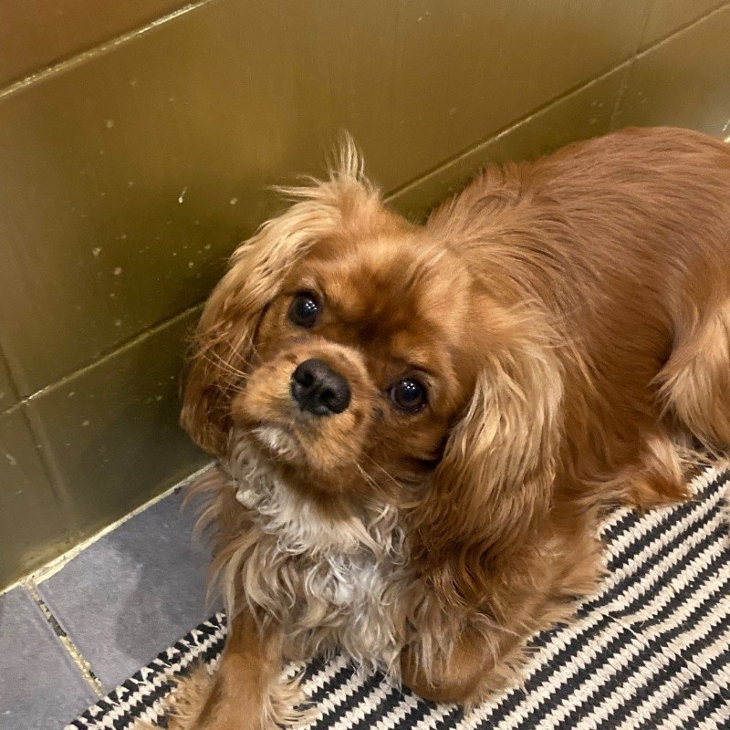 Piia Nora (@piianora) | Snapchat Stories, Spotlight & Lenses