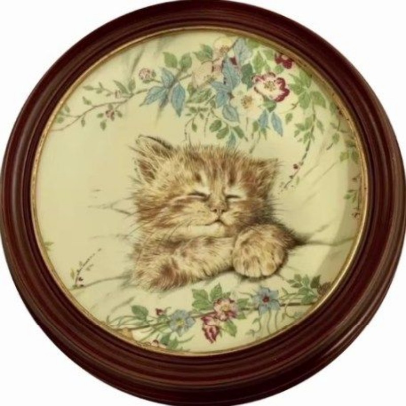 Pikssox (@pik_ssox) | Snapchat Stories, Spotlight & Lenses