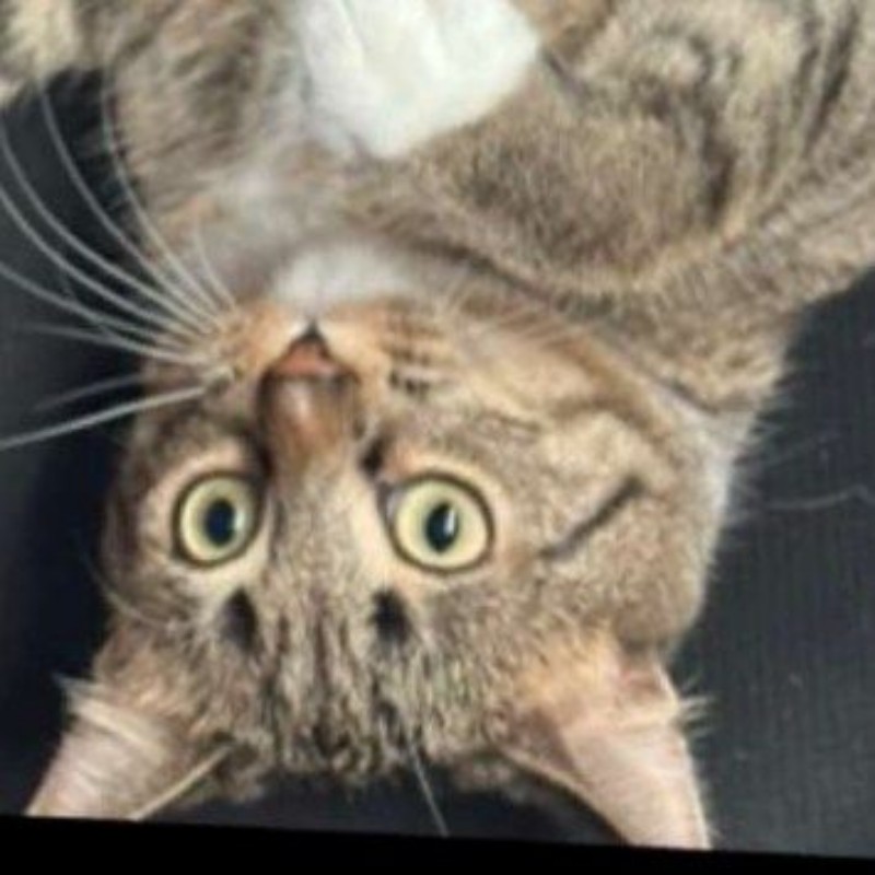 🌺Piper 🌺 (@piper_2024b) | Snapchat Stories, Spotlight & Lenses