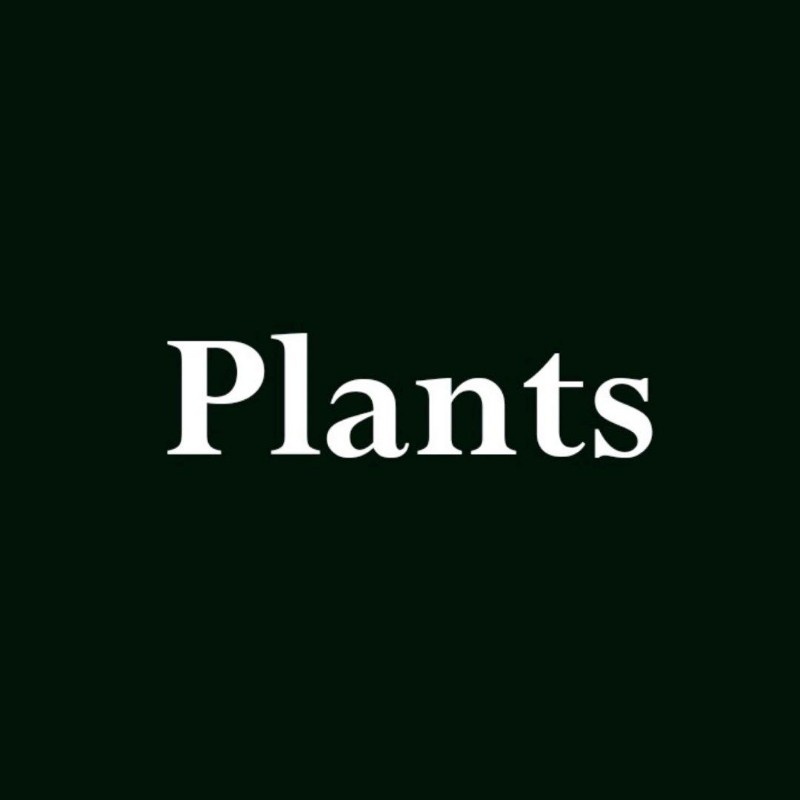 Plants | پلانتس 🪴 (@plants.sa) | Snapchat Stories, Spotlight & Lenses