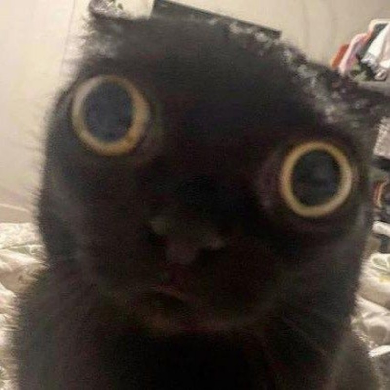 Plus_Chatter (@plus_chatter) | Snapchat Stories, Spotlight & Lenses