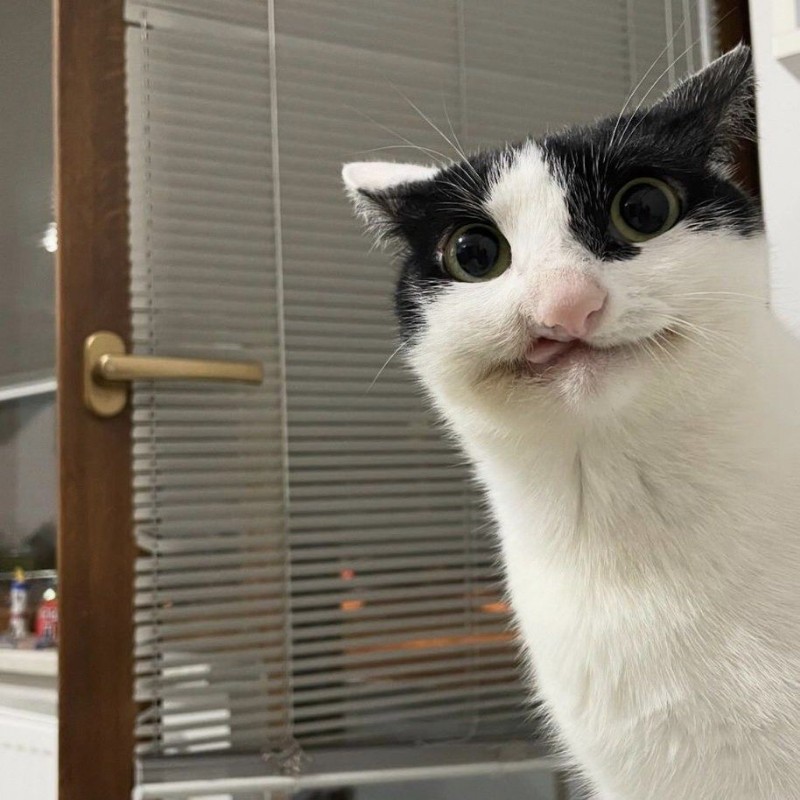 Poppy🐉 (@poppy_milner) | Snapchat Stories, Spotlight & Lenses