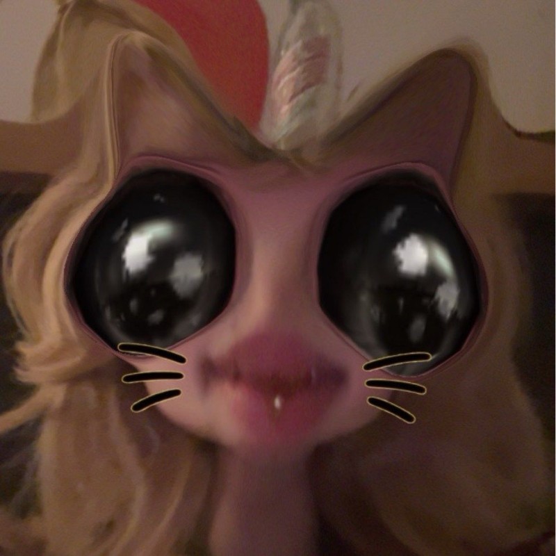 poppy 🐈‍⬛ (@poppythestrange) | Snapchat Stories, Spotlight & Lenses