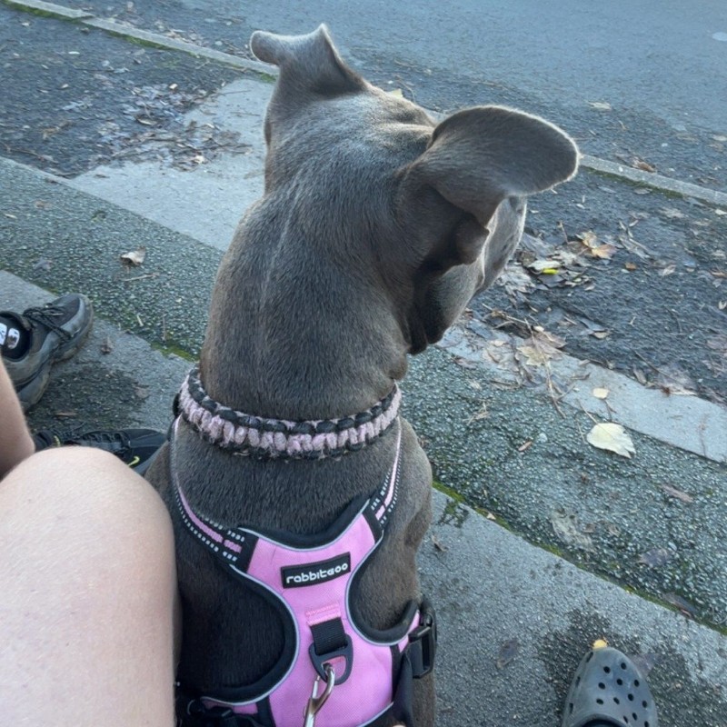 jamie 🏎️ 🌸 (@pr7.jt) | Snapchat Stories, Spotlight & Lenses