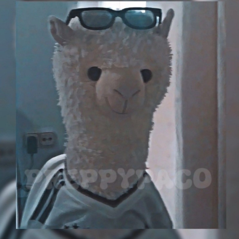 𝐏𝐫𝐞𝐩𝐩𝐲𝐩𝐚𝐜𝐨 (@preppy_paco) | Snapchat Stories, Spotlight & Lenses