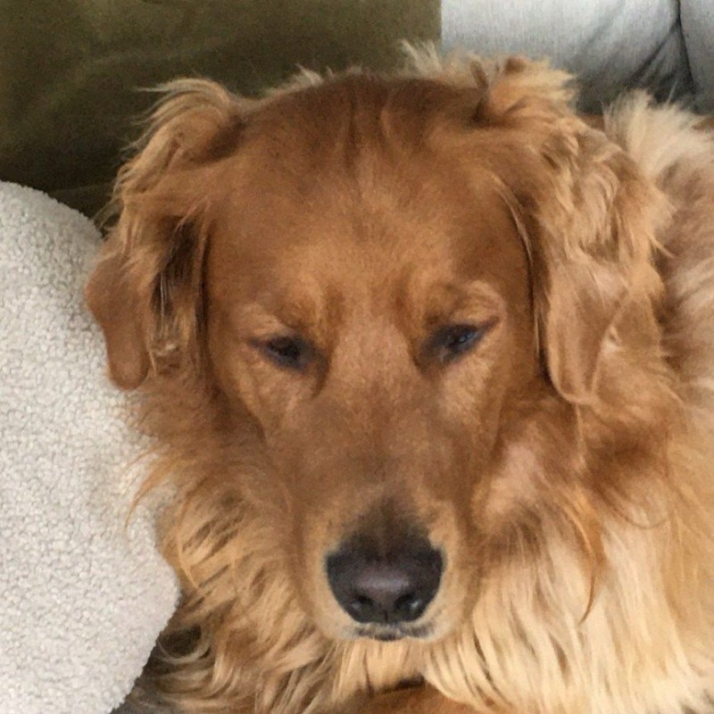 Quinn ️ (@quinn_bennett23) | Snapchat Stories, Spotlight & Lenses