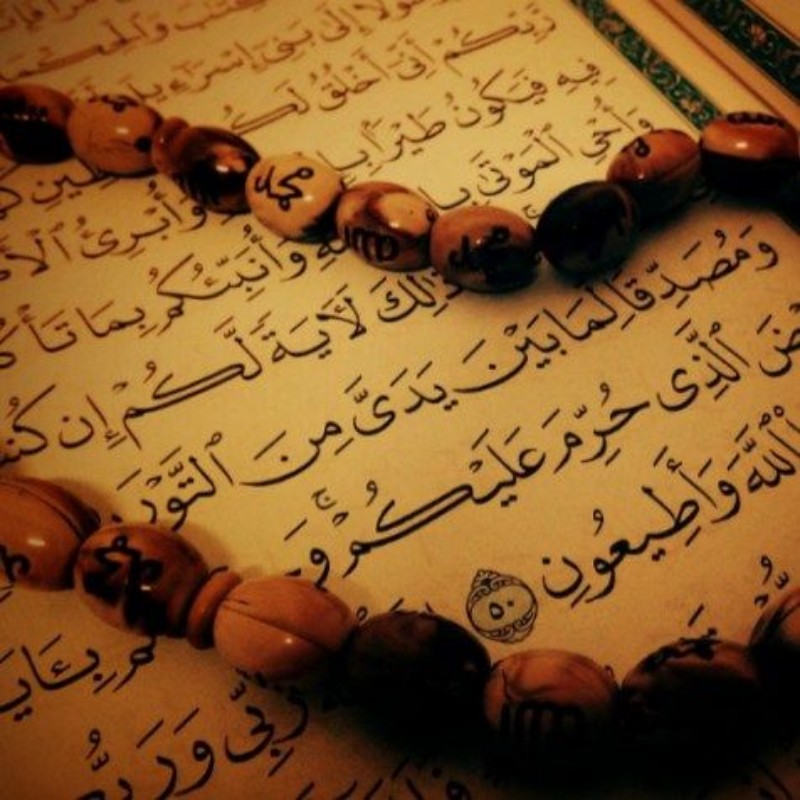 Quran Reflections (@quran-reflc) | Snapchat Stories, Spotlight & Lenses