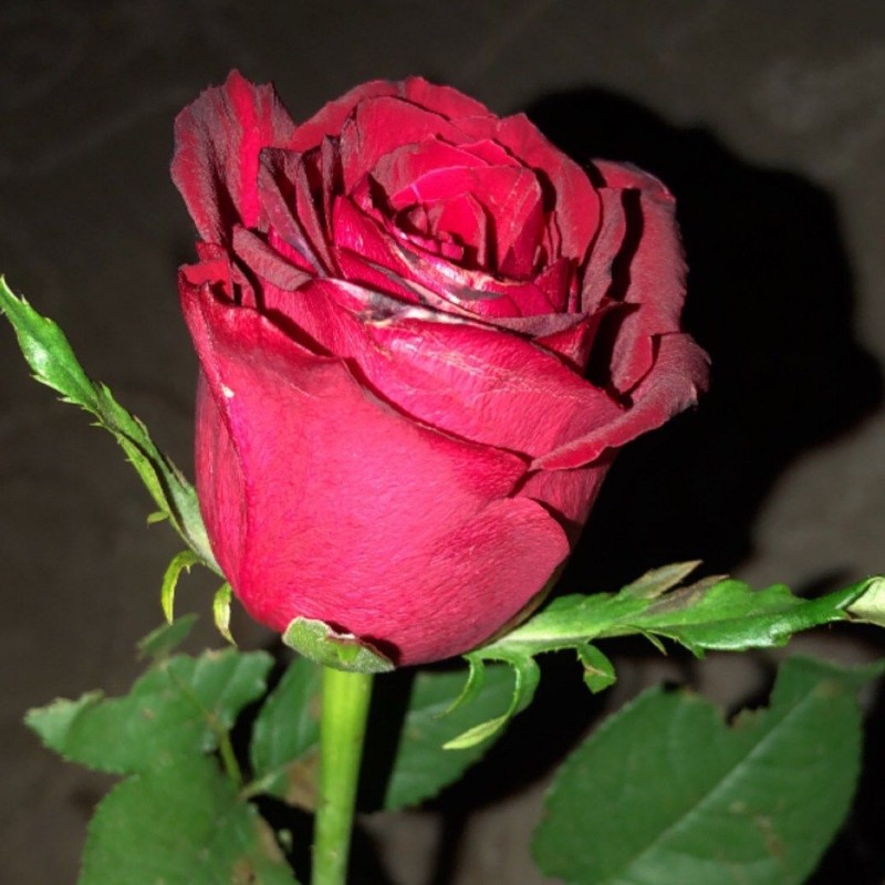 🖤. (@qwtel0) | Snapchat Stories, Spotlight & Lenses