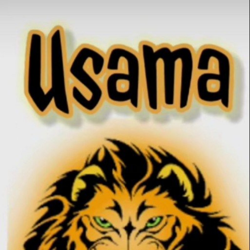 Raja Usama (@r_usama25309) | Snapchat Stories, Spotlight & Lenses