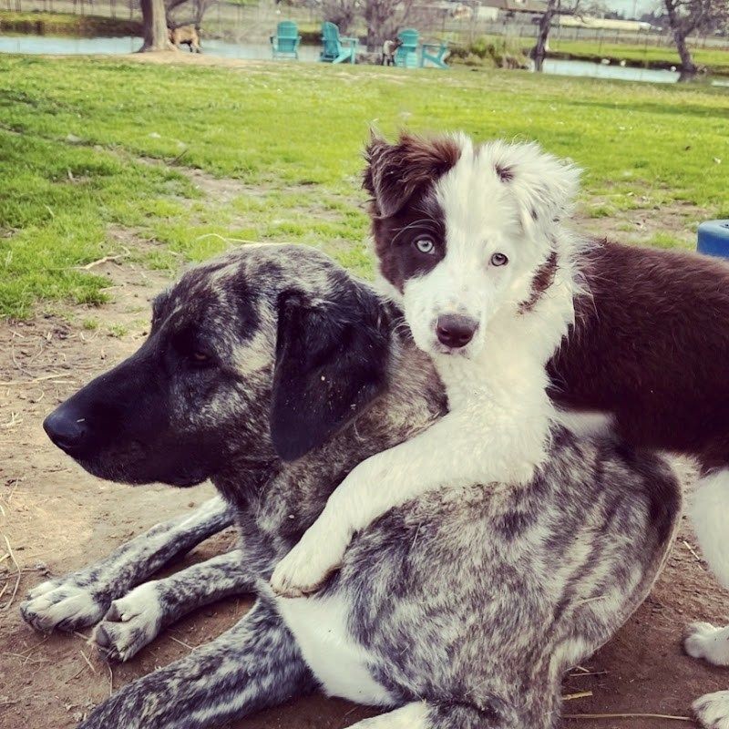 Raventree Ranch (@raventreeranch) | Snapchat Stories, Spotlight & Lenses