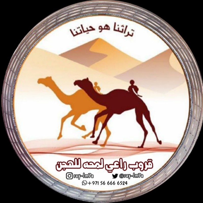 راعي لمحه تغطيات عامة عن الهجن (@ray_lm7h) | Snapchat Stories ...