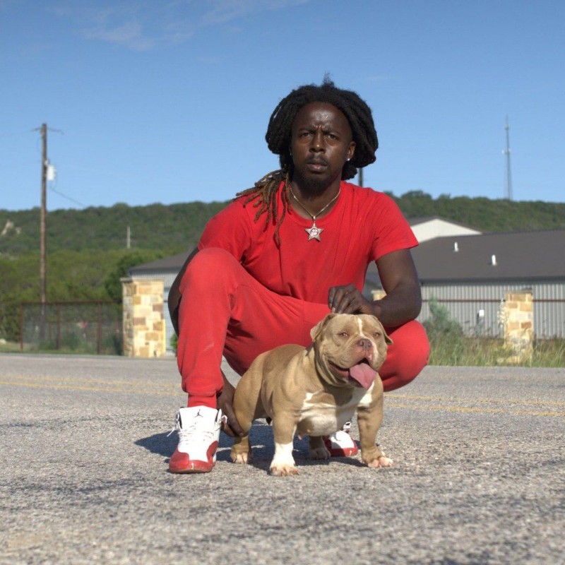 RDCL BULLY KENNELS(@rdclbullykennel) | สตอรี่ Snapchat ตลอดจน Spotlight ...