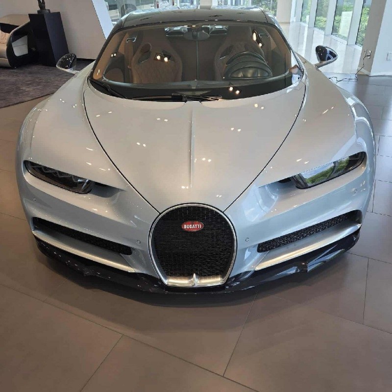 Reed.T (@reed_thistle) | Snapchat Stories, Spotlight & Lenses