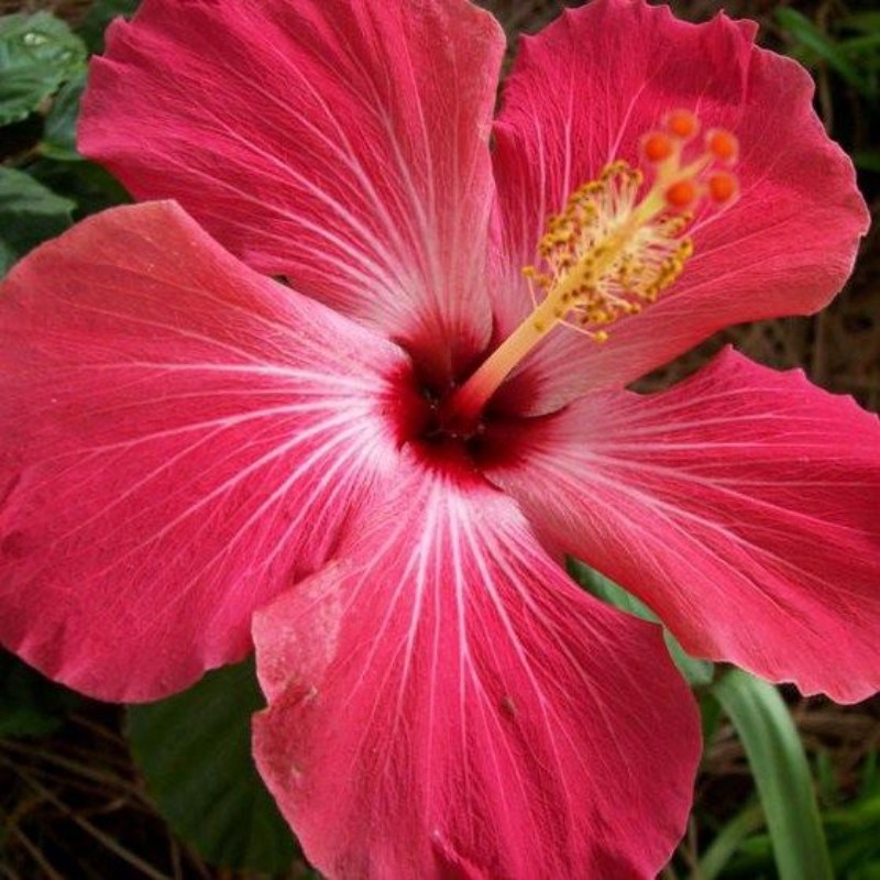 Renee🤍 (@renee20252223) | Snapchat Stories, Spotlight & Lenses